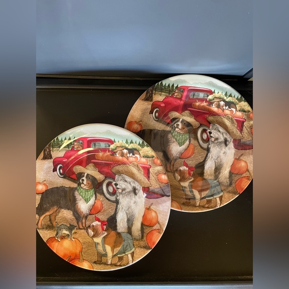 Pier 1 | Kitchen | Pier Park Avenue Puppies Fall Pumpkin Patch 218 ...